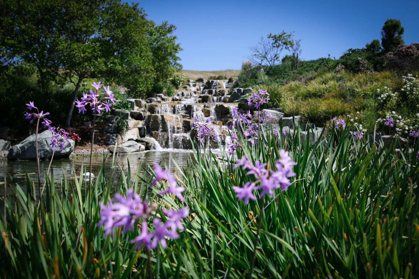 Wedding & Special Events Info - Dublin Ranch Golf Course